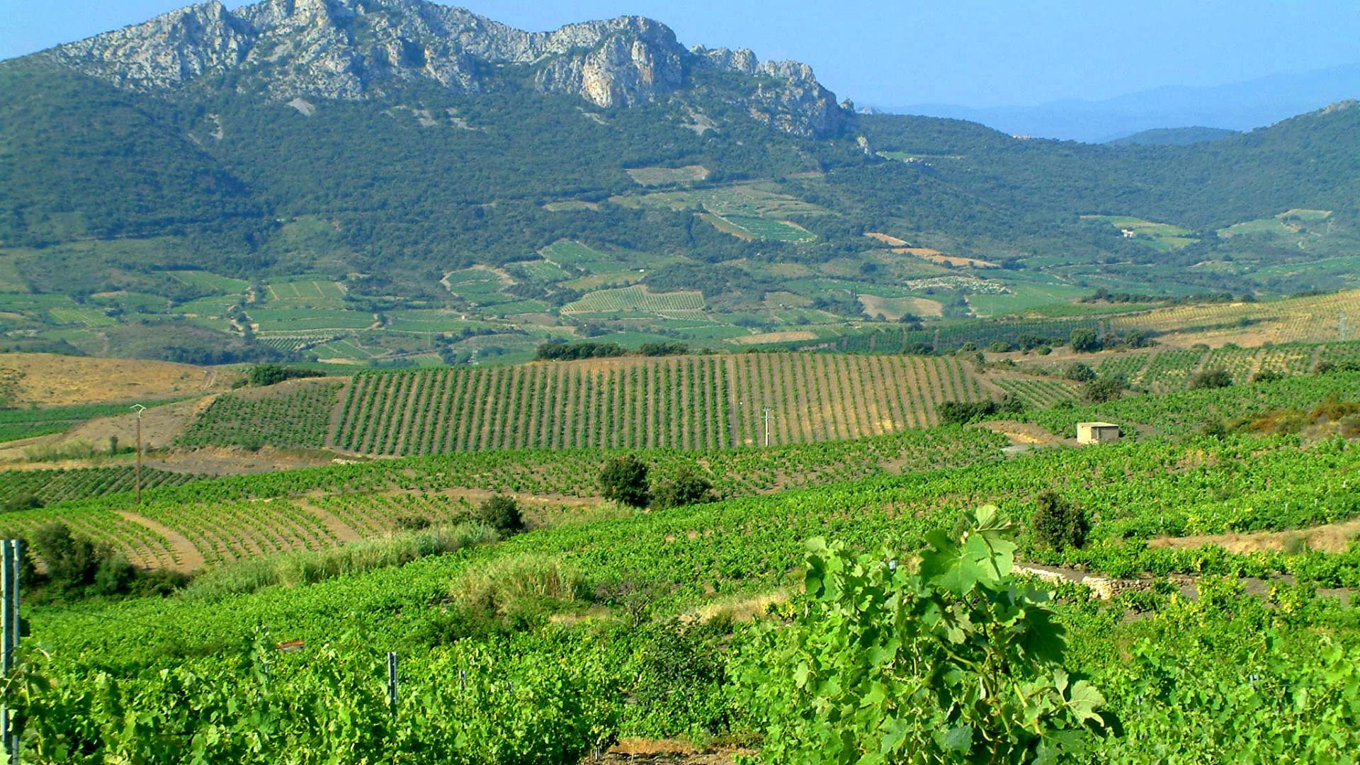 Via Ferrata | Agly Fenouillèdes Tourisme