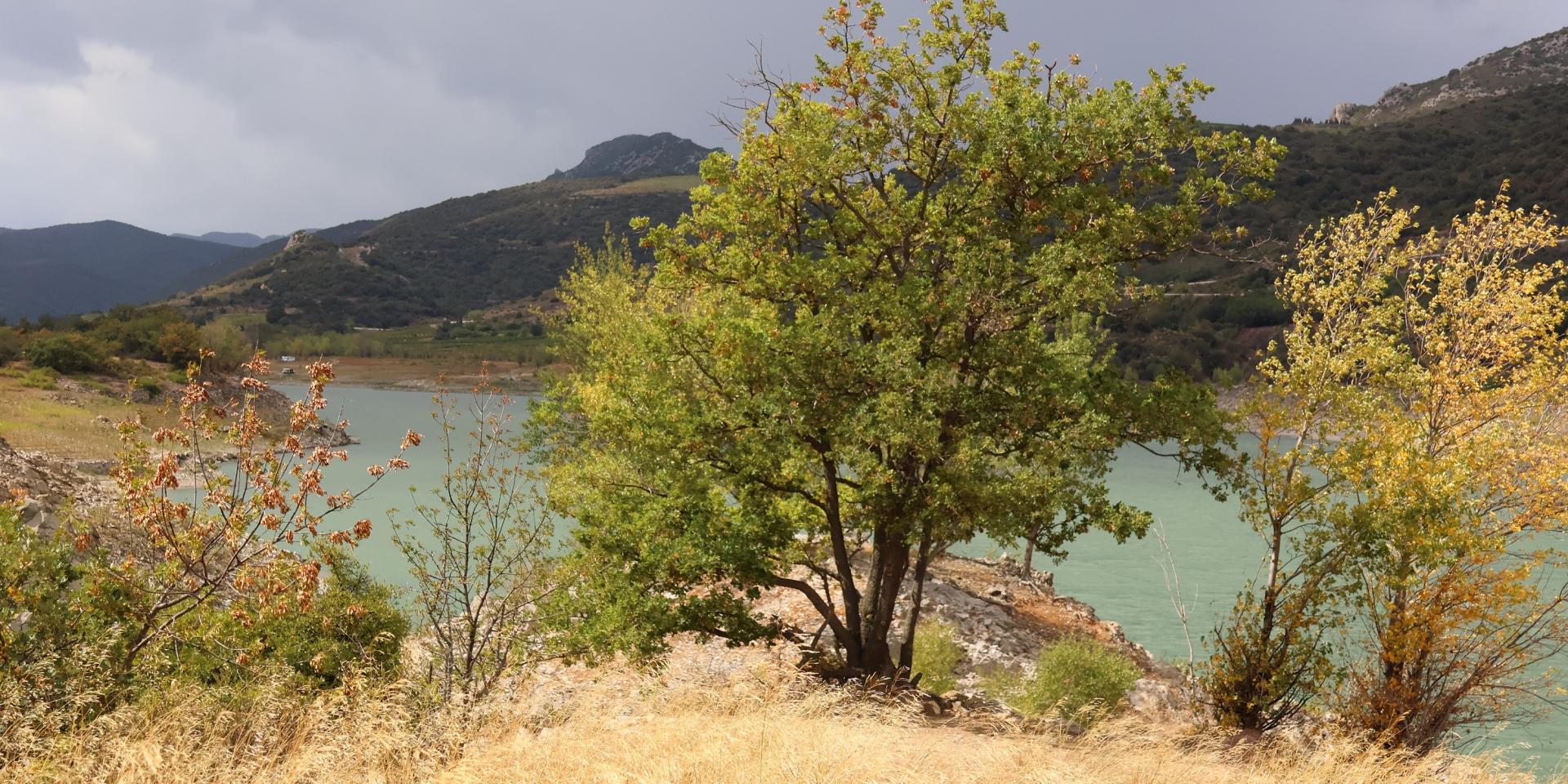 Le lac sur l’Agly | Agly Fenouillèdes Tourisme